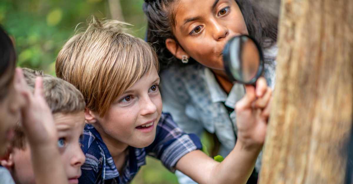 Kids Week: Nature Exploration Hike and Craft - New York Loves Kids