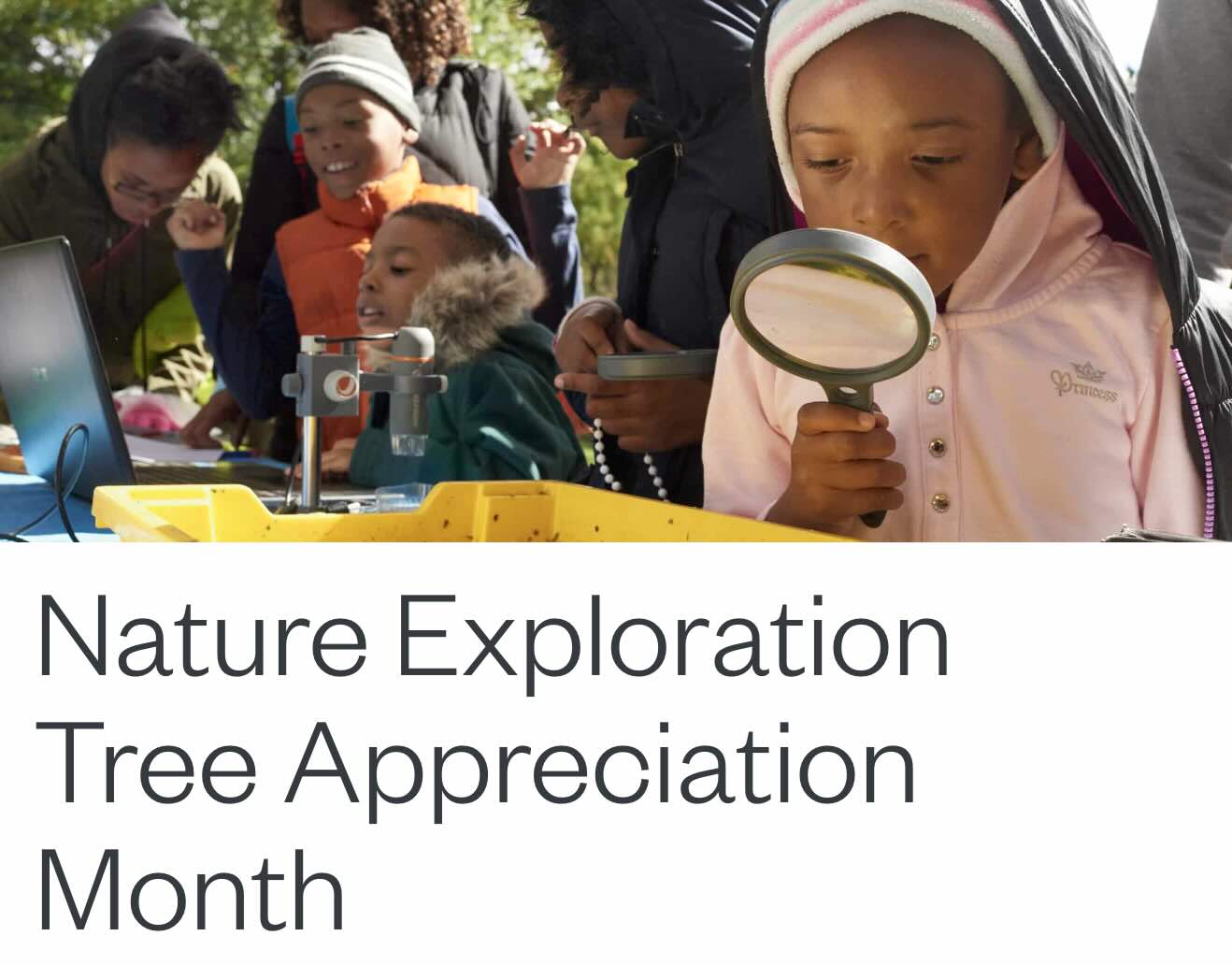 Nature Exploration Tree Appreciation Month - New York Loves Kids